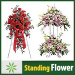 Toko Bunga Murah Jakarta - Florist Pasar Kembang Rawa Belong